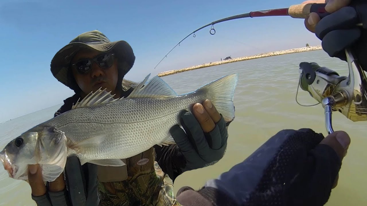 Levrek Avı... (Labrax Seabass Fishing)... Tüm bildiğiniz yemleri unutun ...