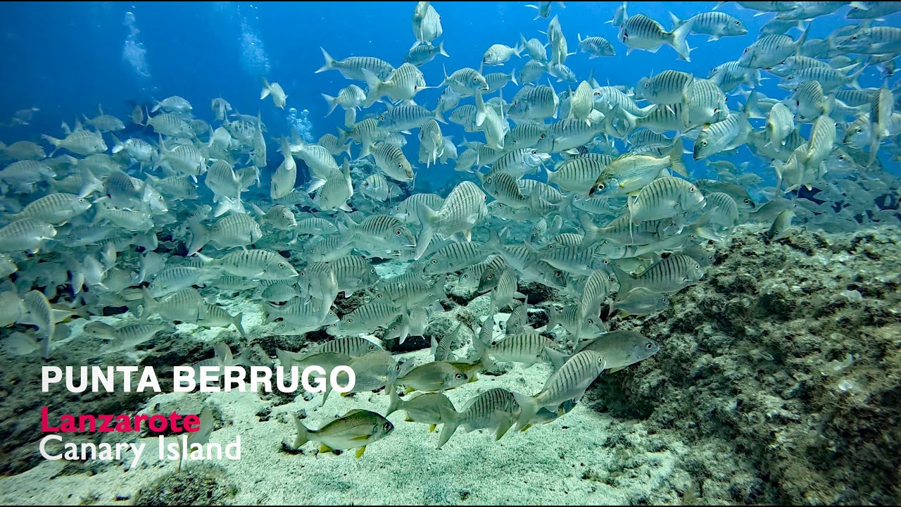 Punta Berrugo (Film HD 2,7K) - YouTube