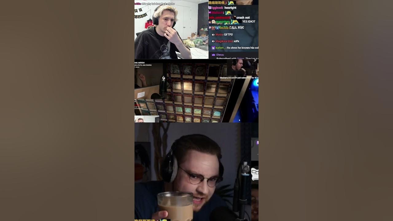 xQc Gets ROASTED by Ohnepixel Over His Yu-Gi-Oh Sheet! 😂 - YouTube