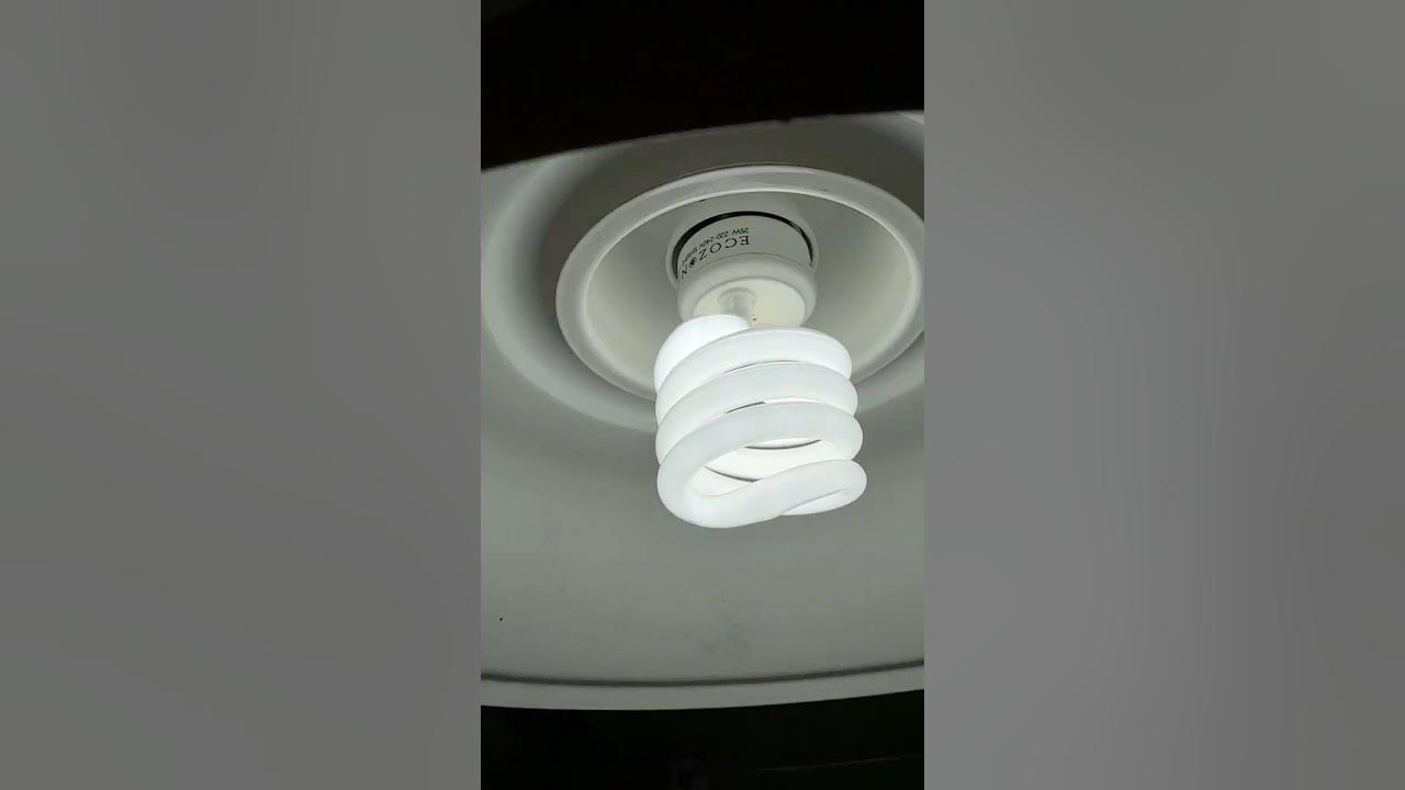 BioBulb 25W CFL LOUD BALLAST - YouTube