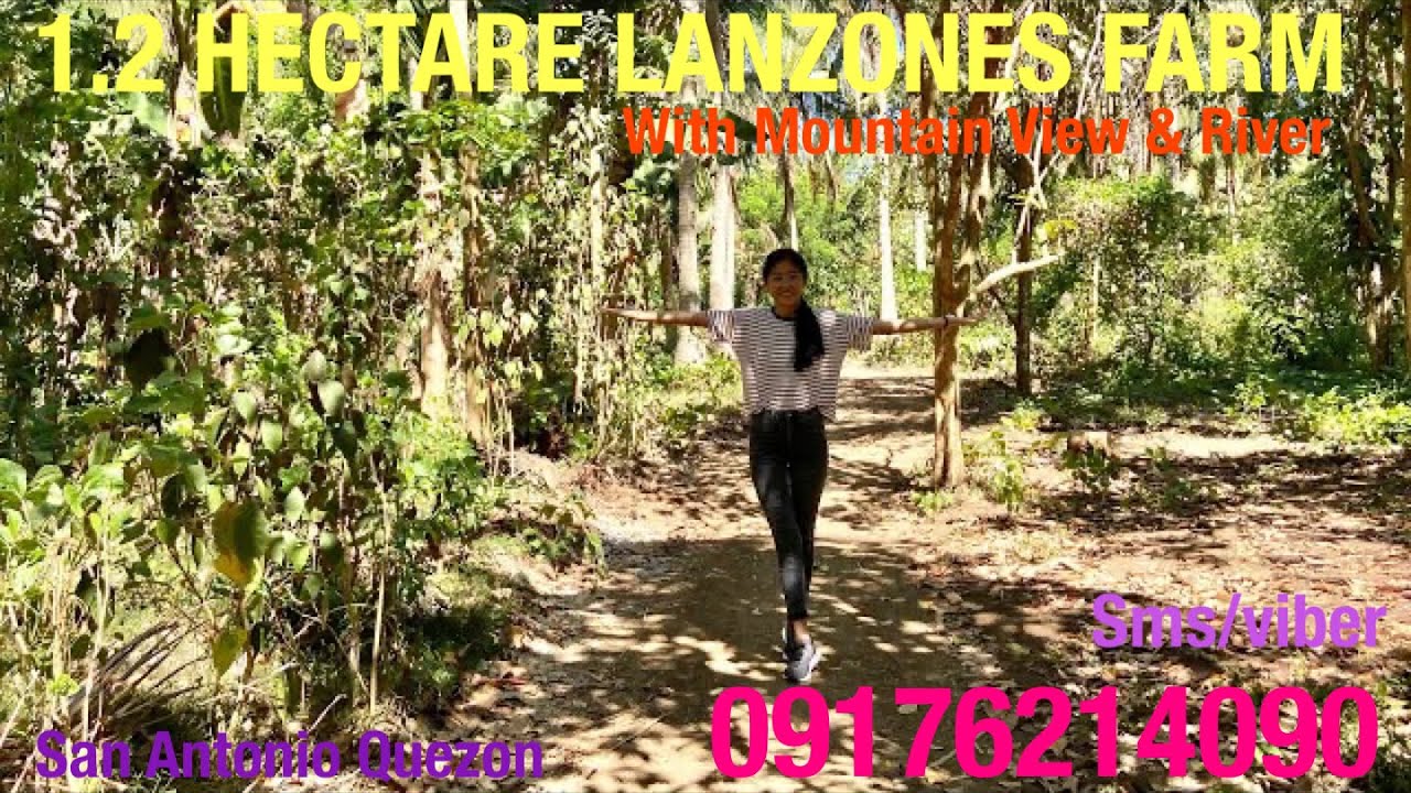 Vlog459: 1.2 HECTARE LANZONES FARM WITH MOUNTAIN VIEW FOR SALE IN SAN ...