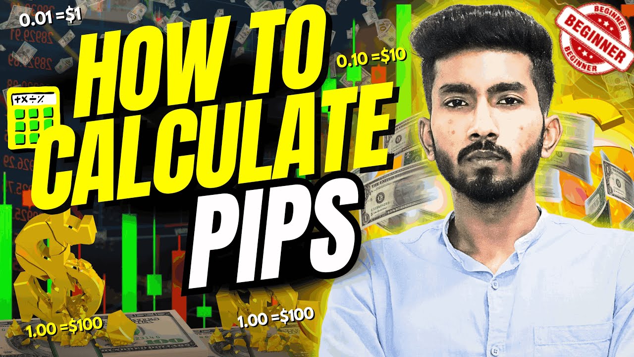 HOW TO CALCULATE PIPS | PART - 4 | - YouTube