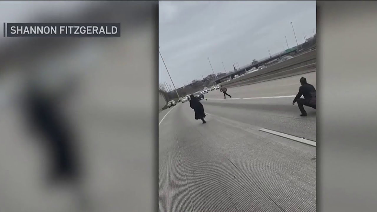 Captado en cámara: Rescatan a perro en plena autopista Dan Ryan - YouTube