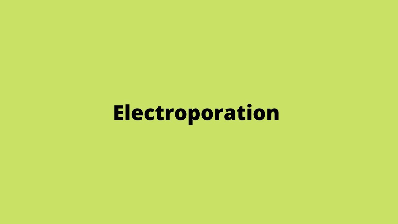 Electroporation || Transfection methods || Genetic engineering - YouTube