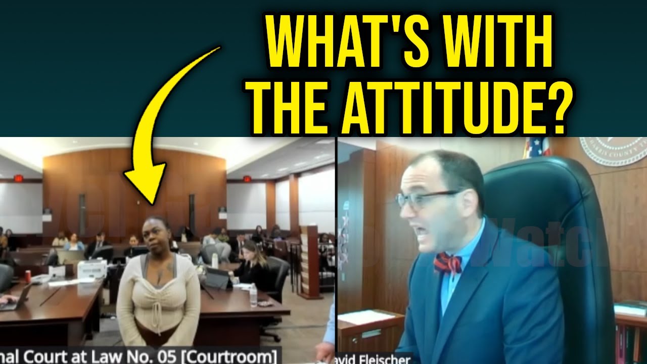 Serial Shoplifter Faces Judge Fleischer After Being Caught AGAIN - YouTube