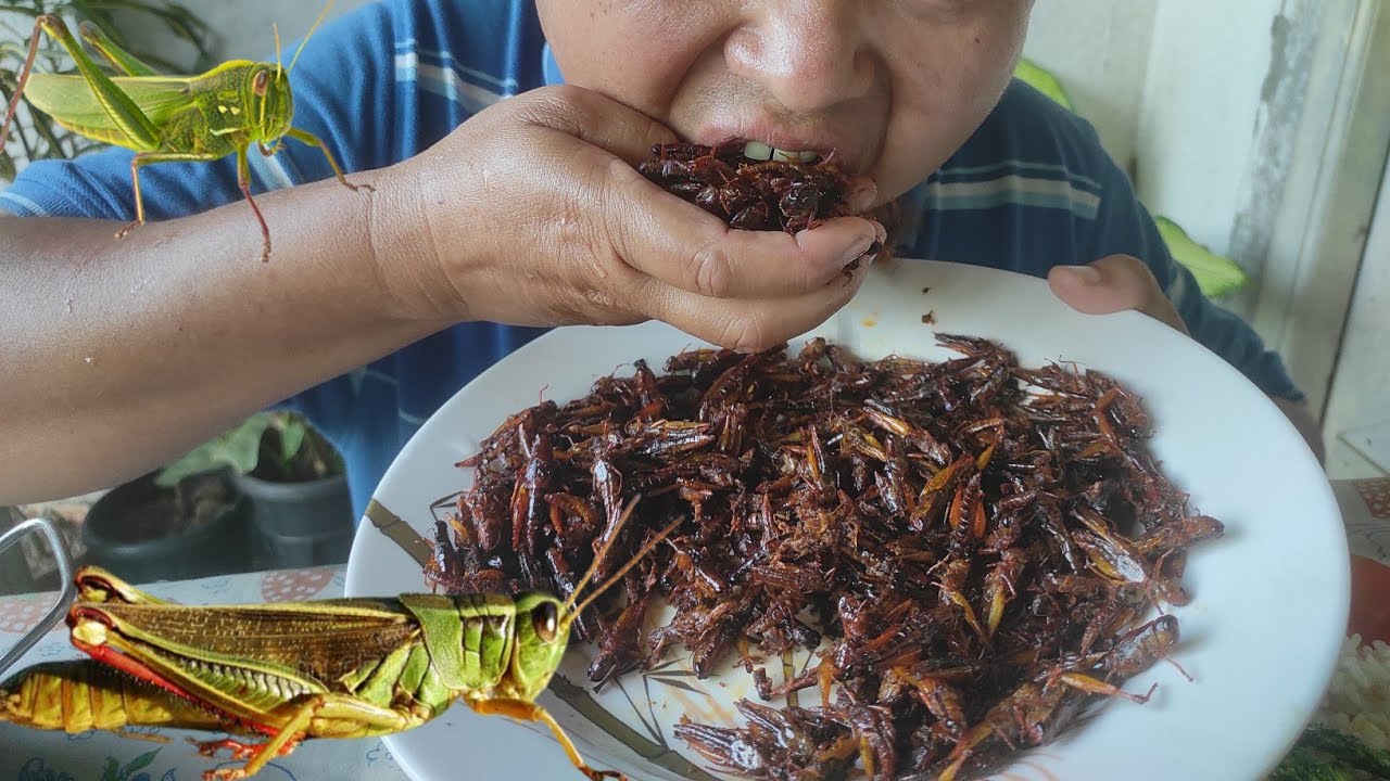 Cooking & Eating Yummy Grasshopper In Nagaland | Eating Insect ...