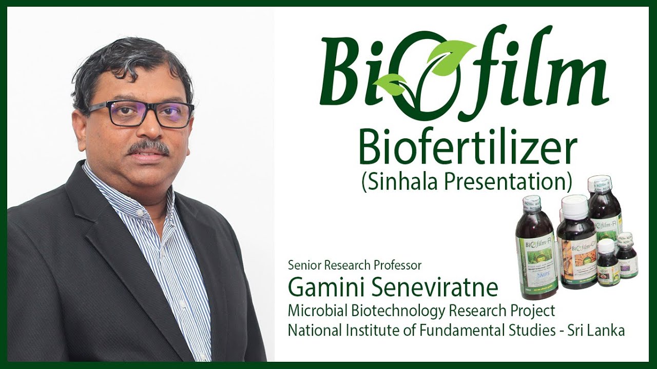 Biofilm Biofertilizer (Sinhala Presentation) - YouTube