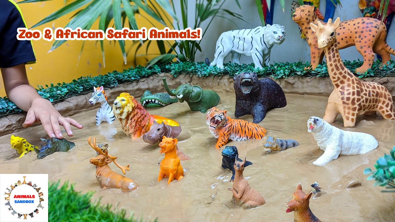 Zoo and African Safari Animals Stuck in Muddy Sandbox | Fun Learning ...
