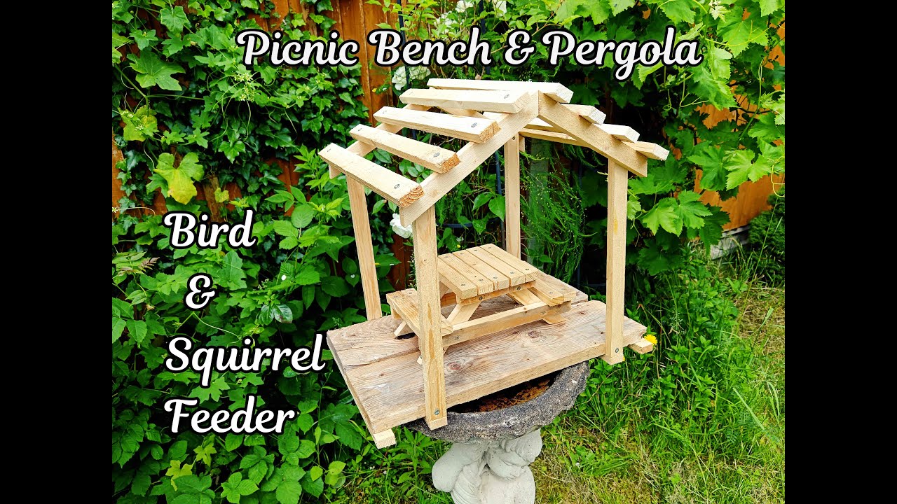 Bird Squirrel Feeder - YouTube