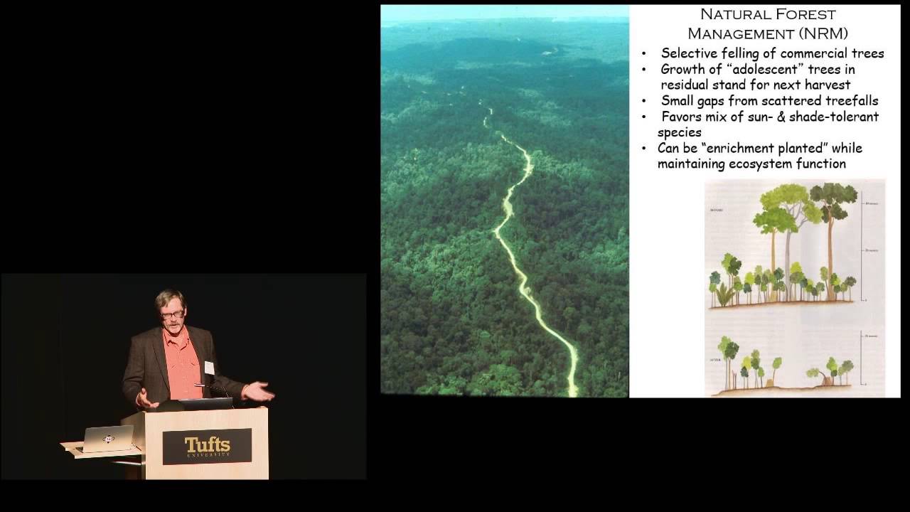 Mark Leighton: Forests- A Pivotal Player - YouTube