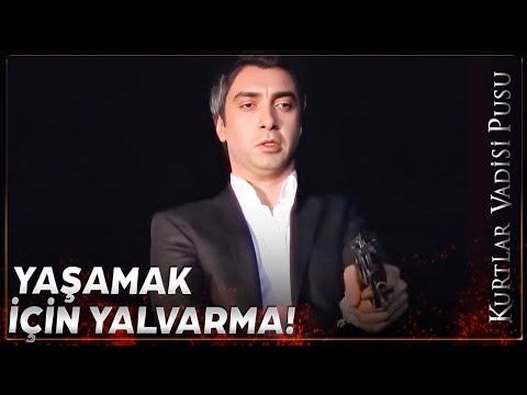 Polat'a Racon Kesmenin Bedeli, İnfazdır! | Kurtlar Vadisi Pusu 104. Bölüm