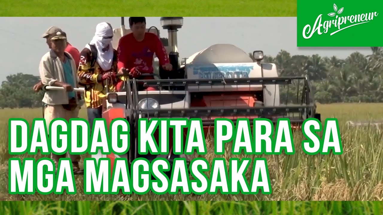 Mechanized Rice Planters at Precision Rice Seeders para sa Mabilis na ...