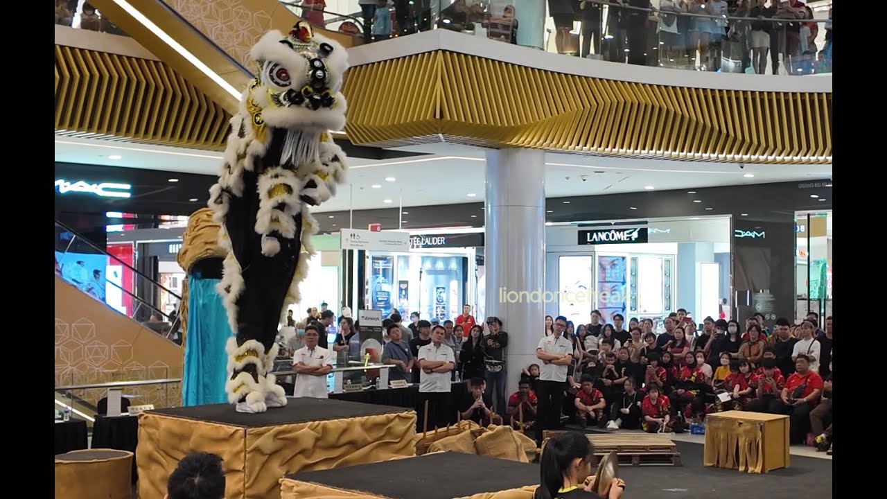 2024 International Fellowship Cup - Traditional - Xuan Long Dragon and ...