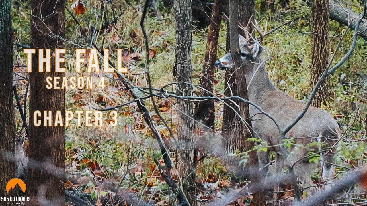 The Fall Season 4: Chapter 3 - YouTube