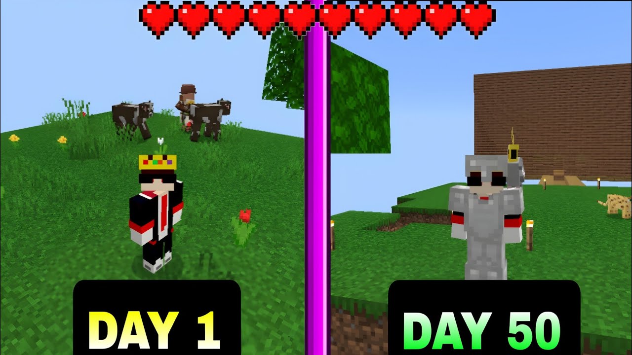 I survived 50 days in random-layer-one-chunk | first 50 days video ...