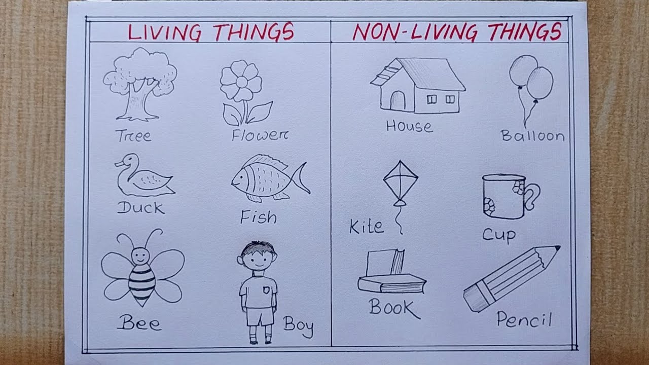 Living Things and Non-living things drawing easy| How to draw Living ...