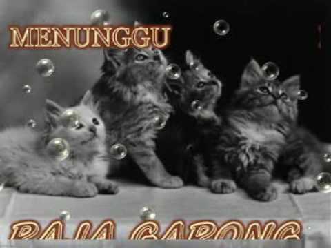 vcd gue5 siweng ponorogo