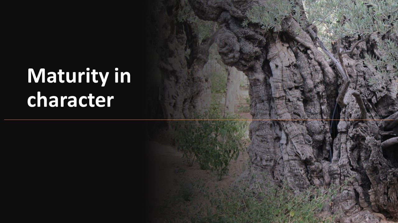 Maturity in character - YouTube