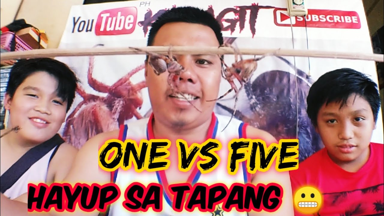 Hayup sa tapang - amazing 😱 5 Games - YouTube