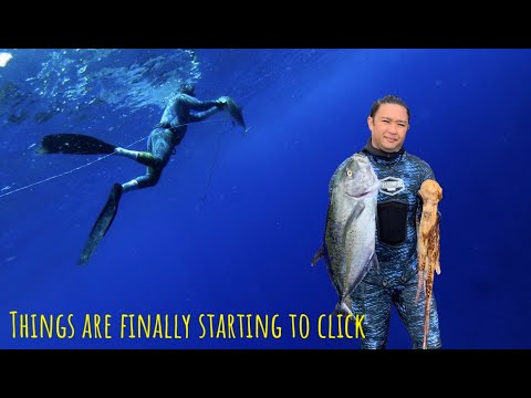 THINGS ARE FINALLY CLICKING SPEARFISHING IN HAWAII