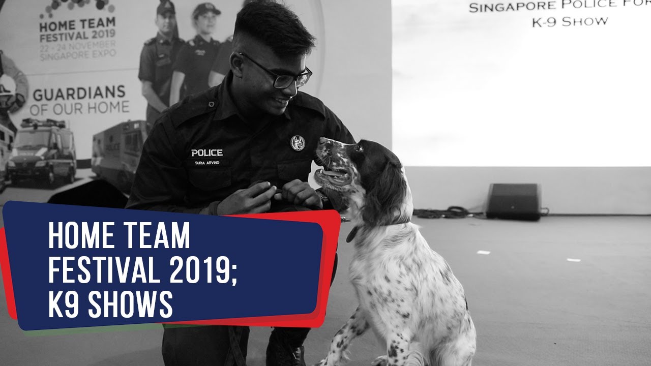 Home Team Festival 2019 : K9 Shows - YouTube