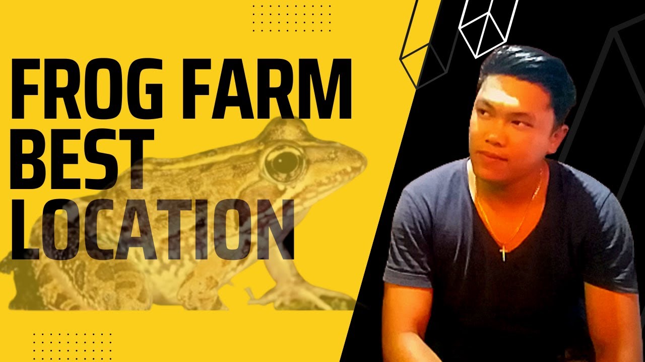 Frog Farm best location #frogframingphilipines - YouTube