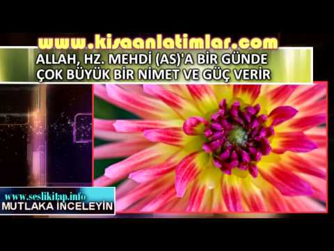 ALLAH, HZ.  MEHDİ (AS)'A BİR GÜNDE ÇOK BÜYÜK BİR NİMET VE GÜÇ VERİR