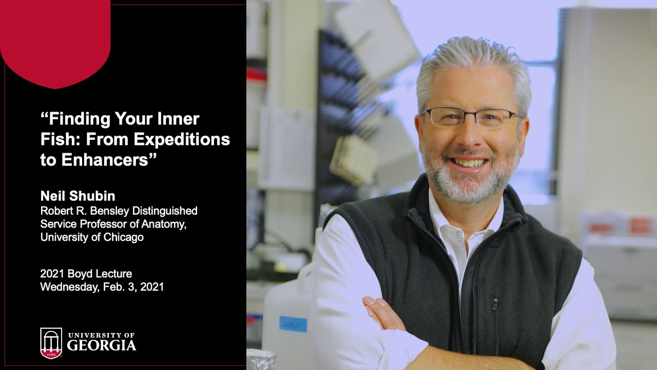 Finding Your Inner Fish: From Expeditions to Enhancers - YouTube