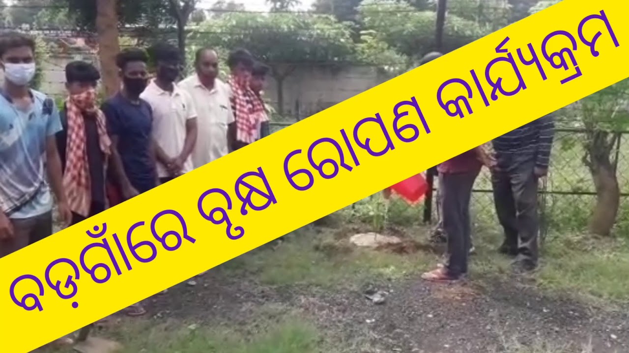 SUNDARGARH BARGAON RE BRUKSHYA ROPAN - YouTube