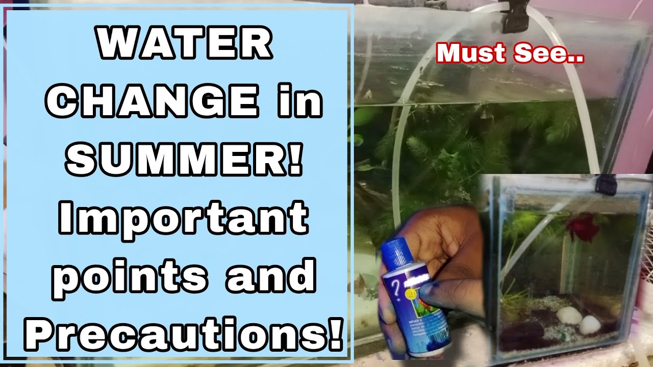 WATER CHANGE in Summer of all our setups !! | Important points ...