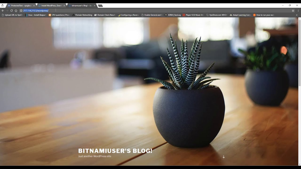 Bitnami Wordpress How To Install Wordpress In A Quick And Easy Way Bitnami Wordpress How To Install Wordpress In A Quick And Easy Way