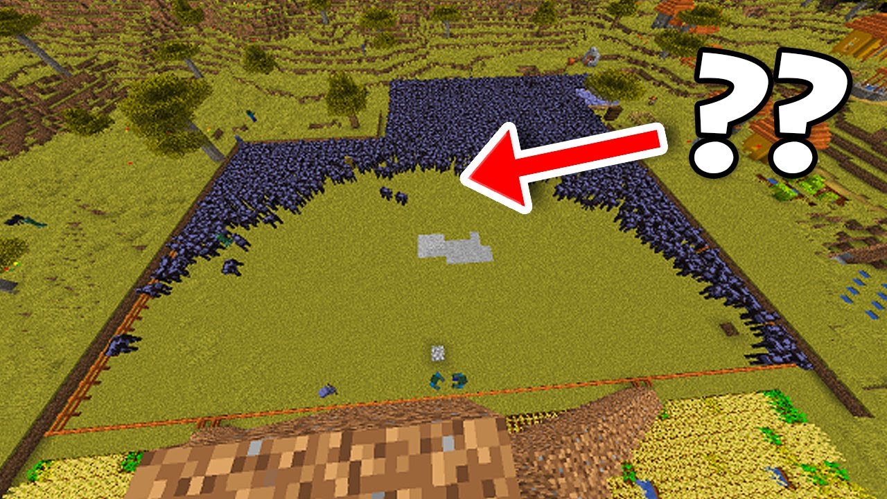 Solving Minecraft Hidden Secrets - YouTube