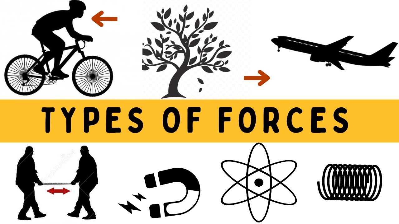 Types of forces What is force?- Force and pressure / Physics Class 8 ...