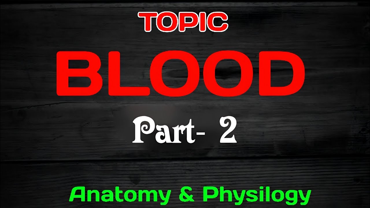 Blood || complete Anatomy and physiology part -2 - YouTube