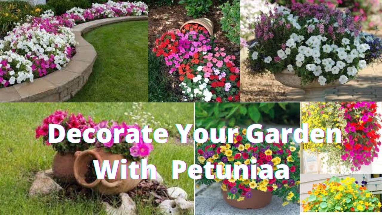 Decorate your Garden with Petunia/Petunia Flower Tower/ Vertical Garden ...