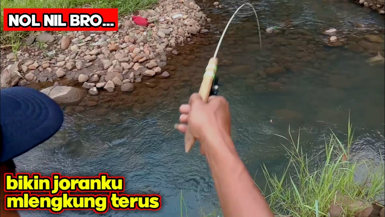 mancing ikan wader dispot baru ternyata sarang ikan -strike bertubi tubi - YouTube