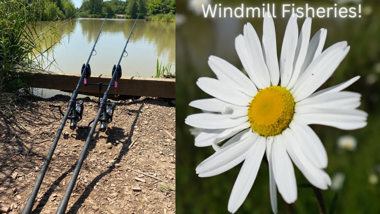 Carp Fishing Windmill Fisheries! - YouTube