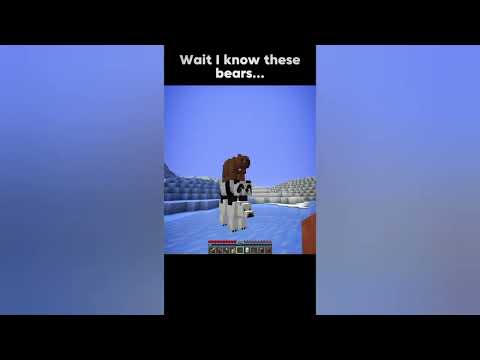 Minecraft Shorts Compilation || Aesthetic minecraft views || #fyp #minecraft #smp #viral #game 