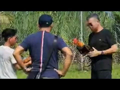 FARM TOUR SA CAPIZ..GCGF..WITH THE MAESTRO SIR MARTIN ESCOLIN! - YouTube