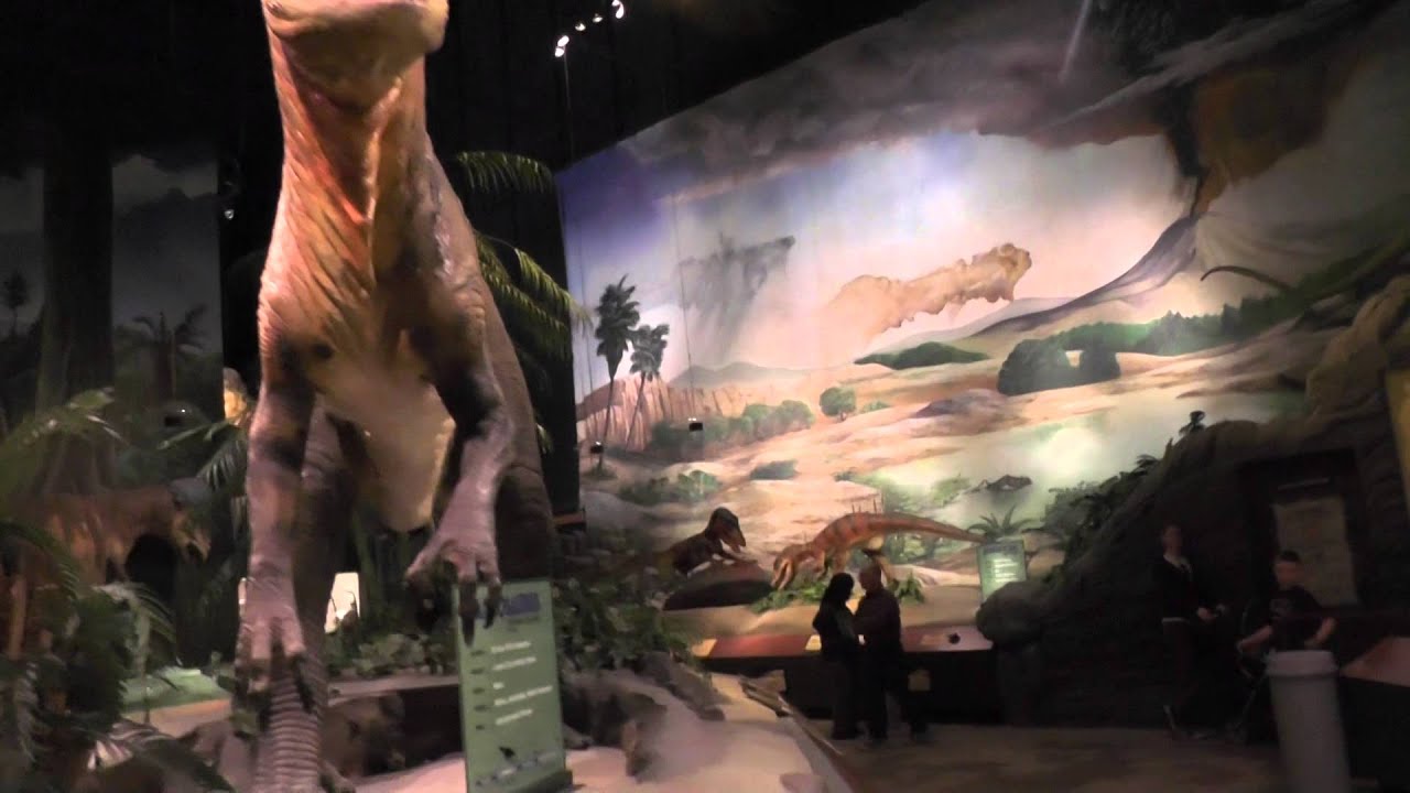 Seattle 2014 Trip Day 6 - Dinosaur Room - YouTube
