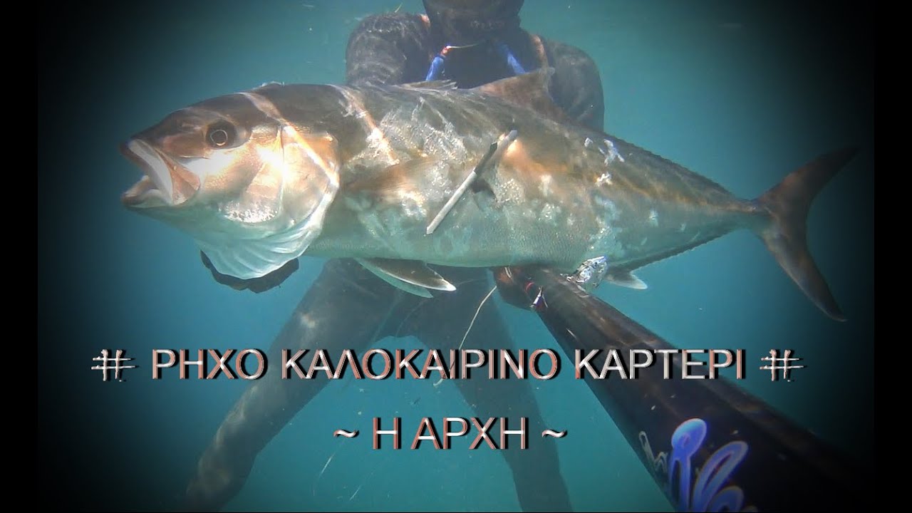 ΡΗΧΟ ΚΑΛΟΚΑΙΡΙΝΟ ΚΑΡΤΕΡΙ~Η ΑΡΧΗ | SPEARFISHING GREECE - YouTube