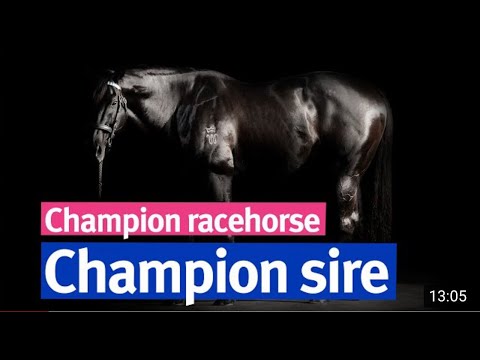 Lonhro - The Champion racehorse turned Champion Sire - YouTube