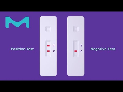 Lateral Flow Tests Explained: Components, Functionality & Importance in ...