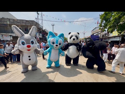 Gorilla,Rabbit,Panda and Fox in Program | Gorilla Dance 😍🥰