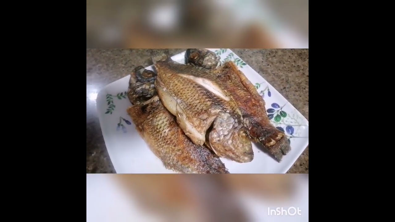 tilapya, karpa pijanga, hayuan. - YouTube