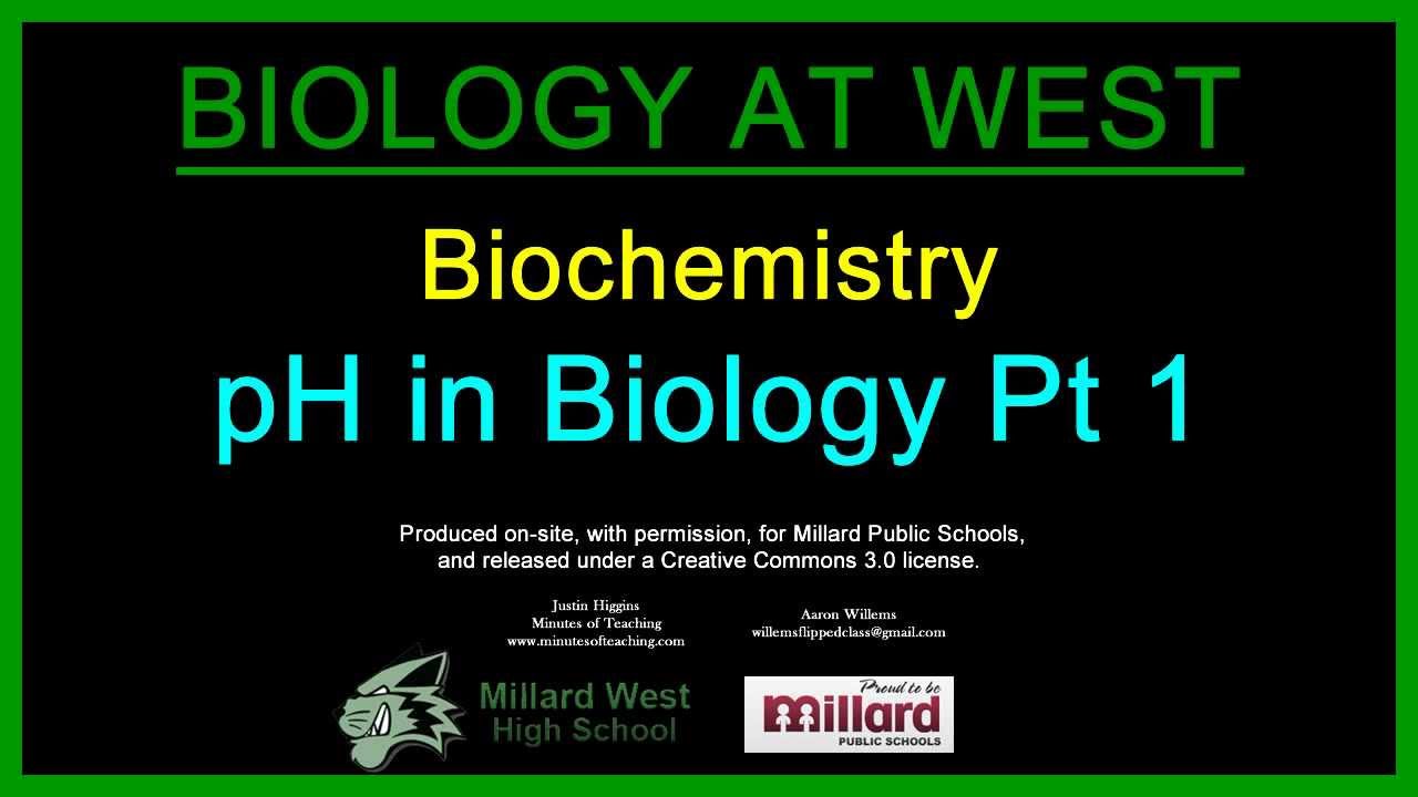 pH in Biology Pt 1- Biochemistry - YouTube