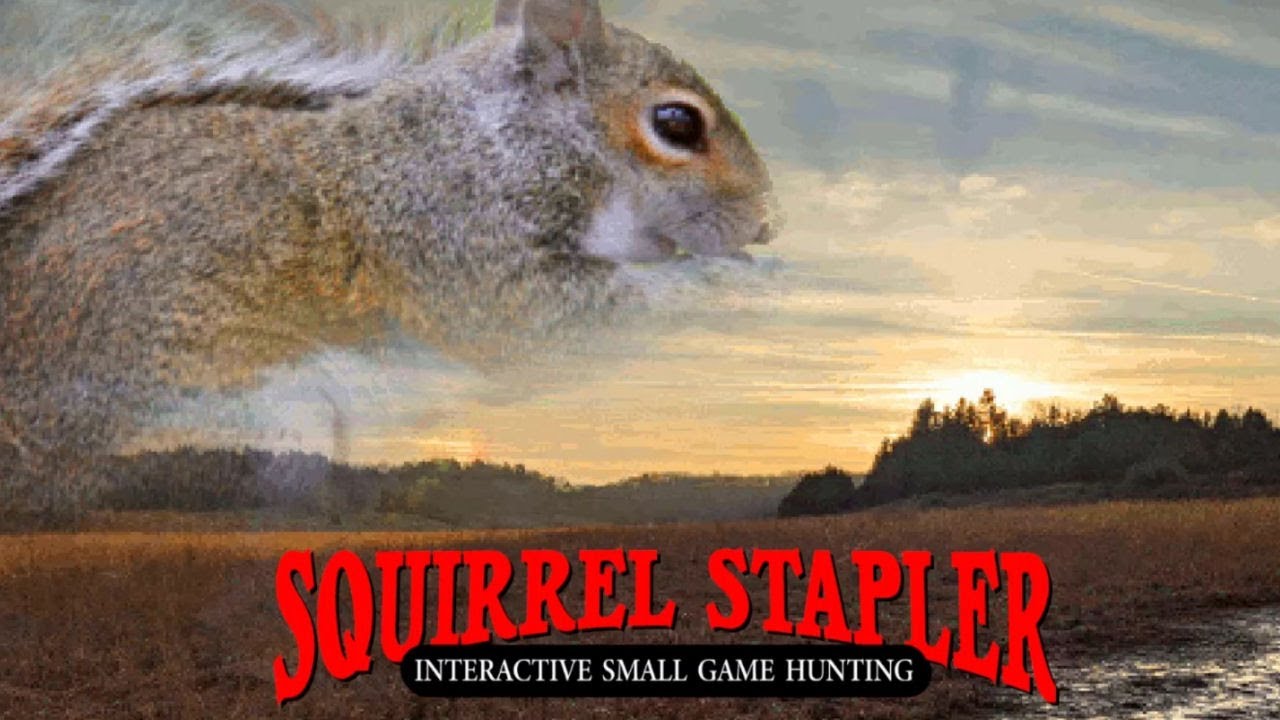 Squirrel Stapler Gameplay - YouTube