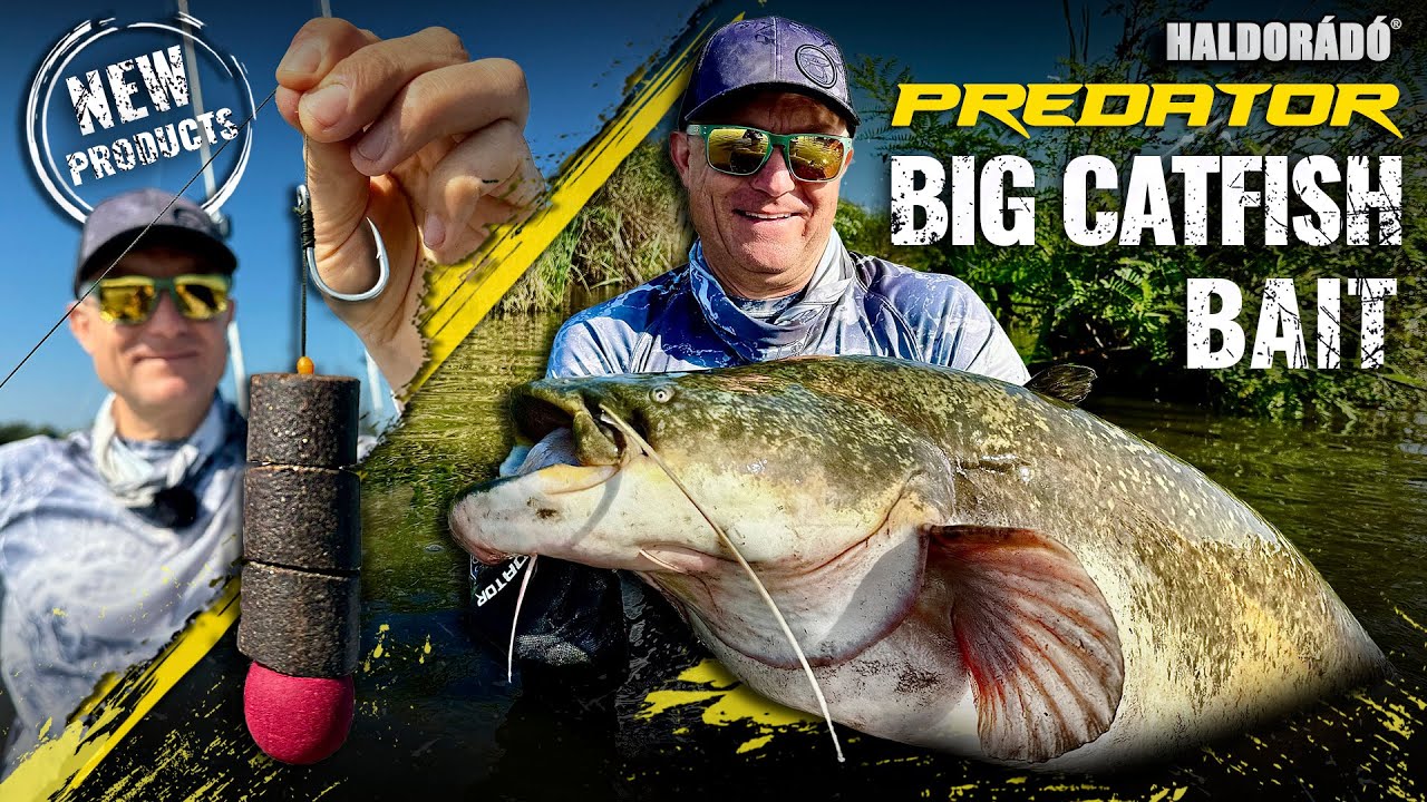 Döme Gábor - LEGENDÁS HARCSÁS VIZEKEN 6. rész - Pelletes ...