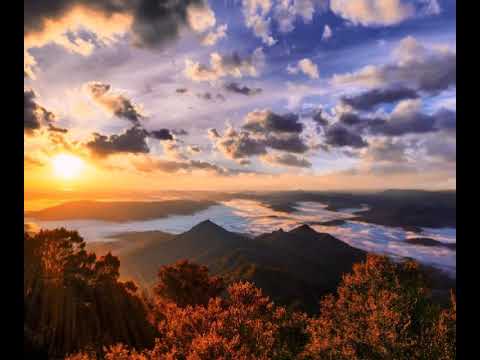 Bahadır Taylıöz -Su yolunu bulur..