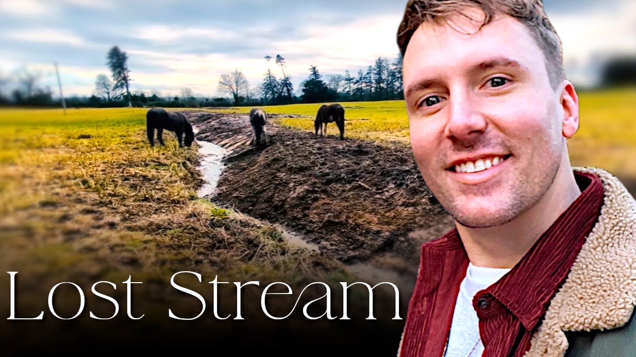 Did We Unearth a Lost Stream? - YouTube